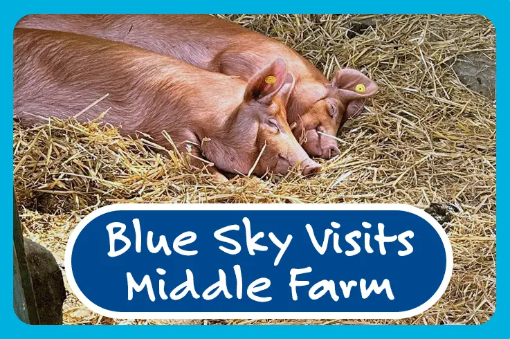 Blue Sky visits Middle Farm | Blue Sky Fostering